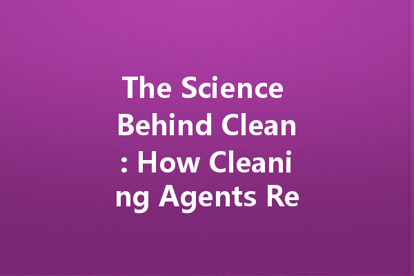 The Science Behind Clean: How Cleaning Agents Revolutionize Household ...